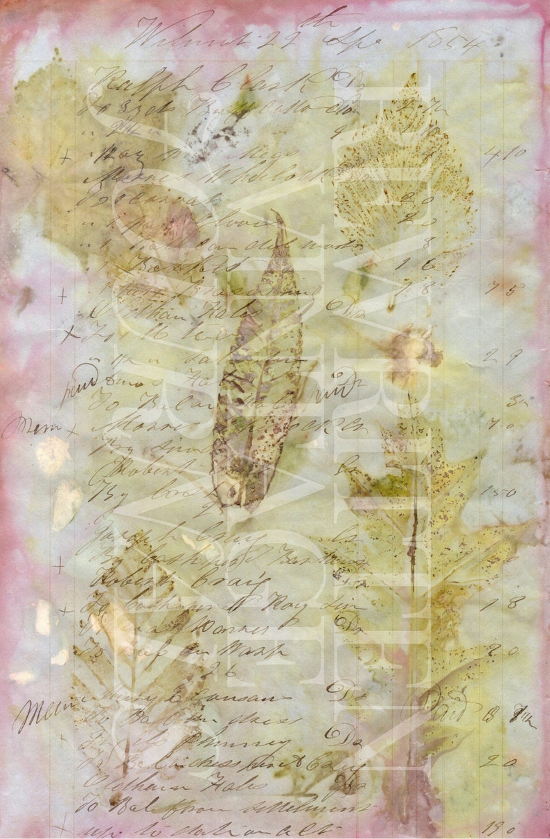 Eco Prints/ 1800s Ledger Paper Eco Prints/ 8 Prints/ PRINTABLES ...