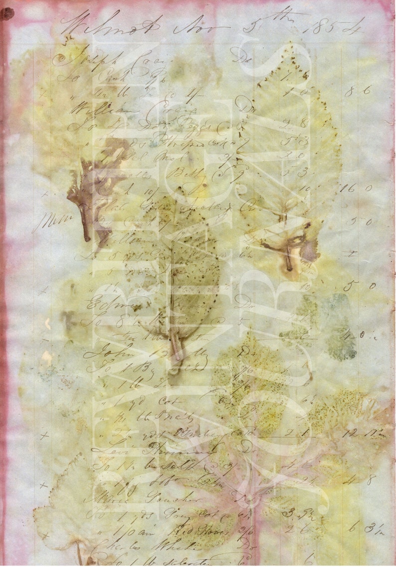Eco Prints/ 1800s Ledger Paper Eco Prints/ 8 Prints/ PRINTABLES ...