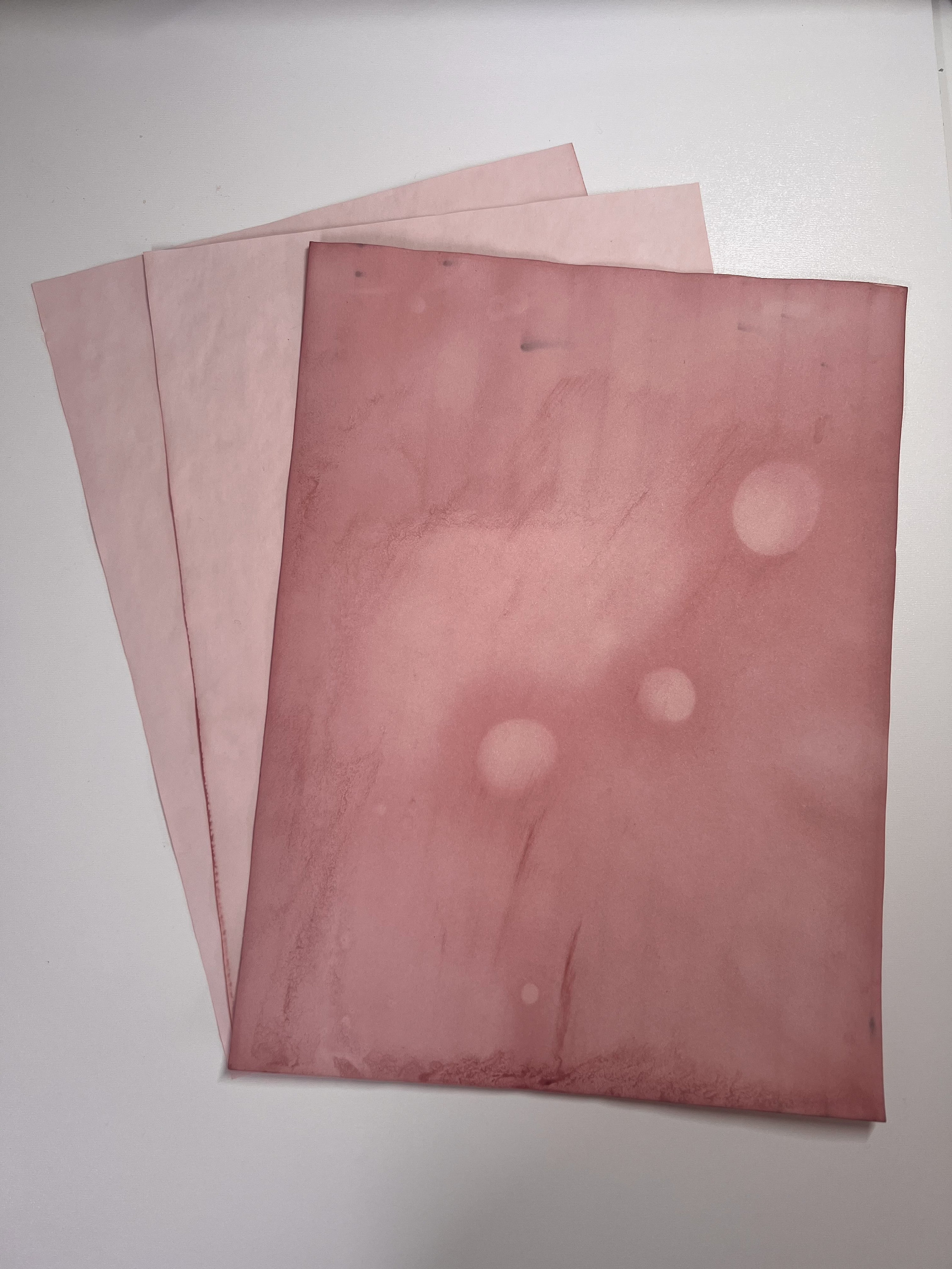 Avocado Dyed Papers Variety Pack Junk Journals Hand Dyed Papers 11 ...