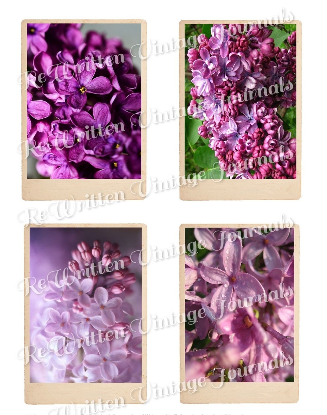 Spring Lilac Cabinet Cards. Digital. Junk Journals. Lilacs. Purple ...