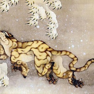 Snow Leopard Japanese Posters - Etsy