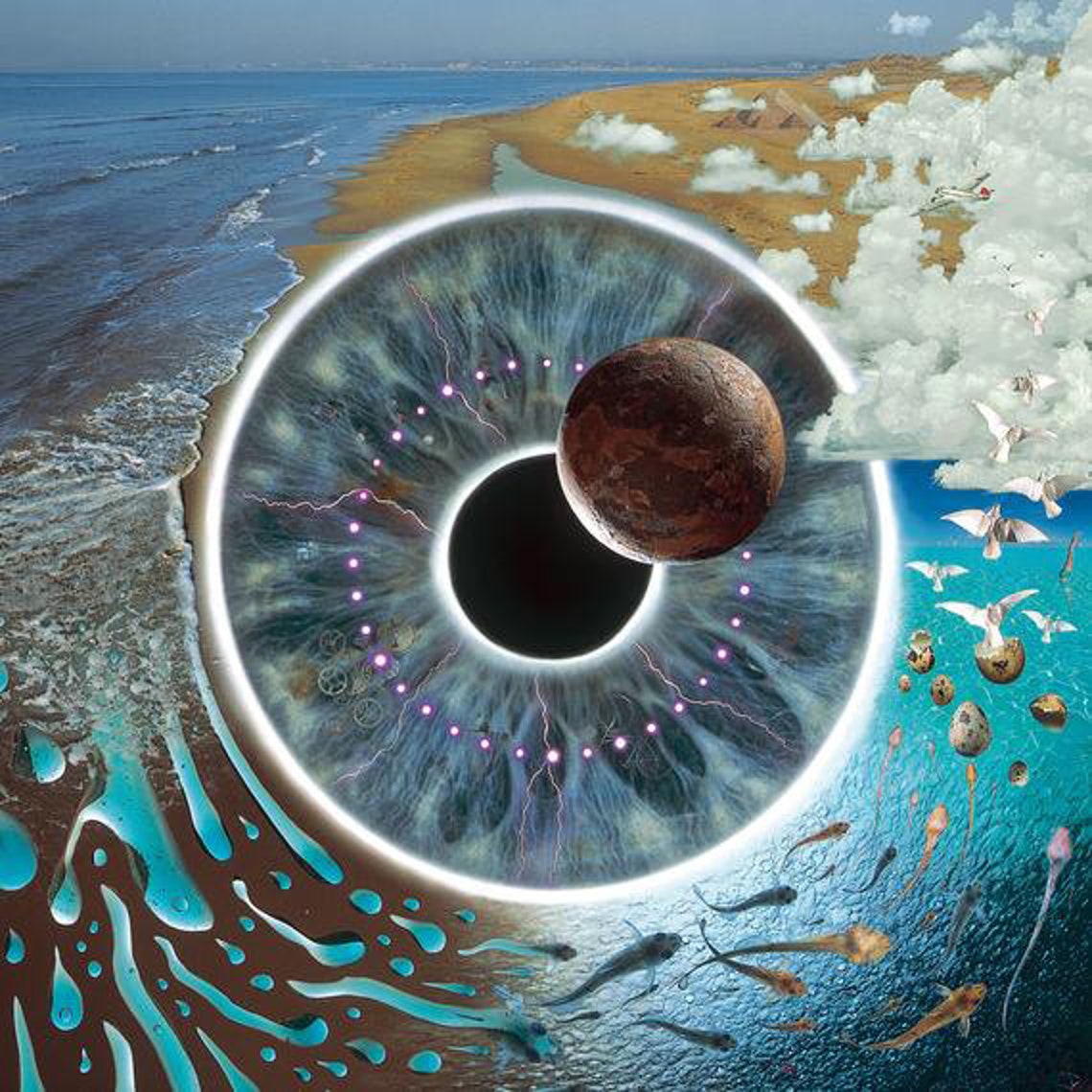Pink Floyd Pulse Album Cover Posters Etsy
