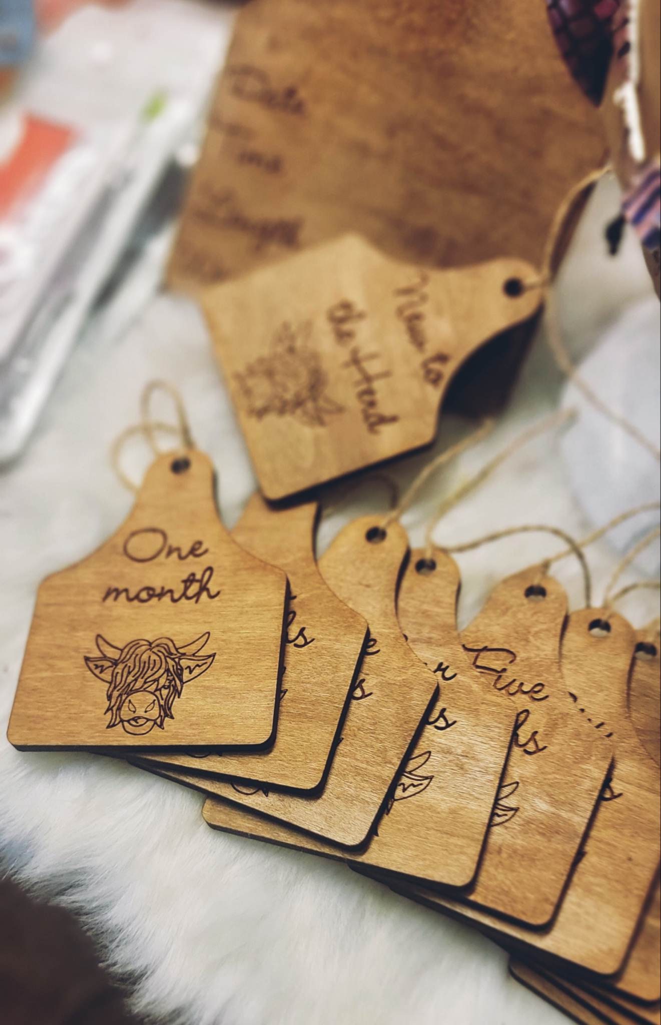 Digital File, New to the Herd, Highland Cow, Monthly Markers, Girl Cow ...