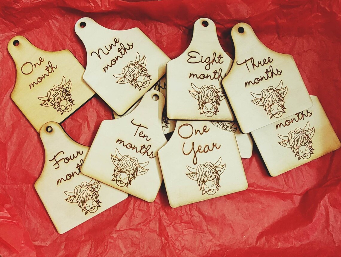 Digital File, New to the Herd, Highland Cow, Monthly Markers, Girl Cow ...