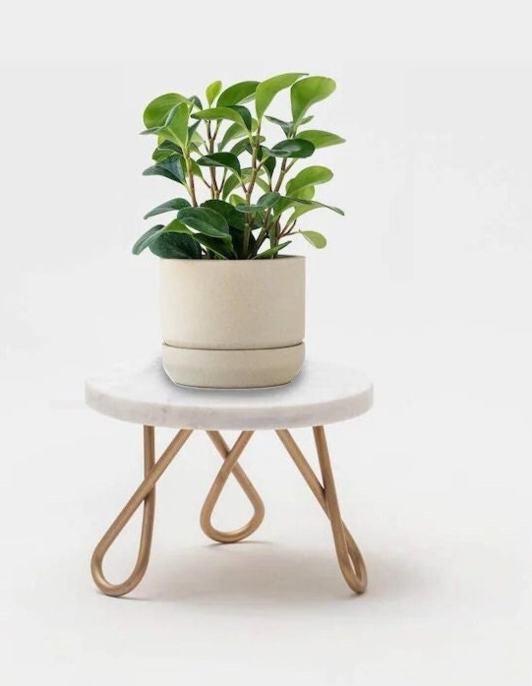 Plant Stand indoor Plant Stand, Marbled Marble Stool - Etsy