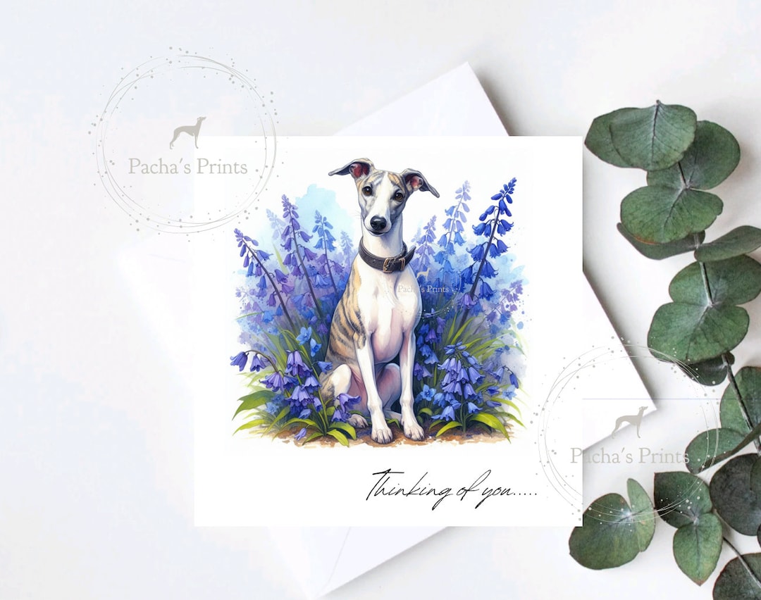 Whippet Birthday Card, Happy Birthday,dad Mum, From the Whippet Dog ...