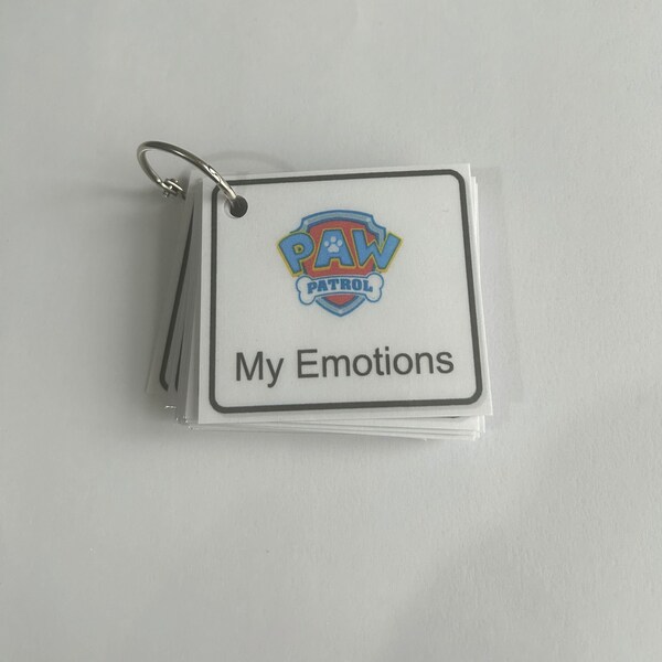 Paw Patrol Lanyard - Etsy UK