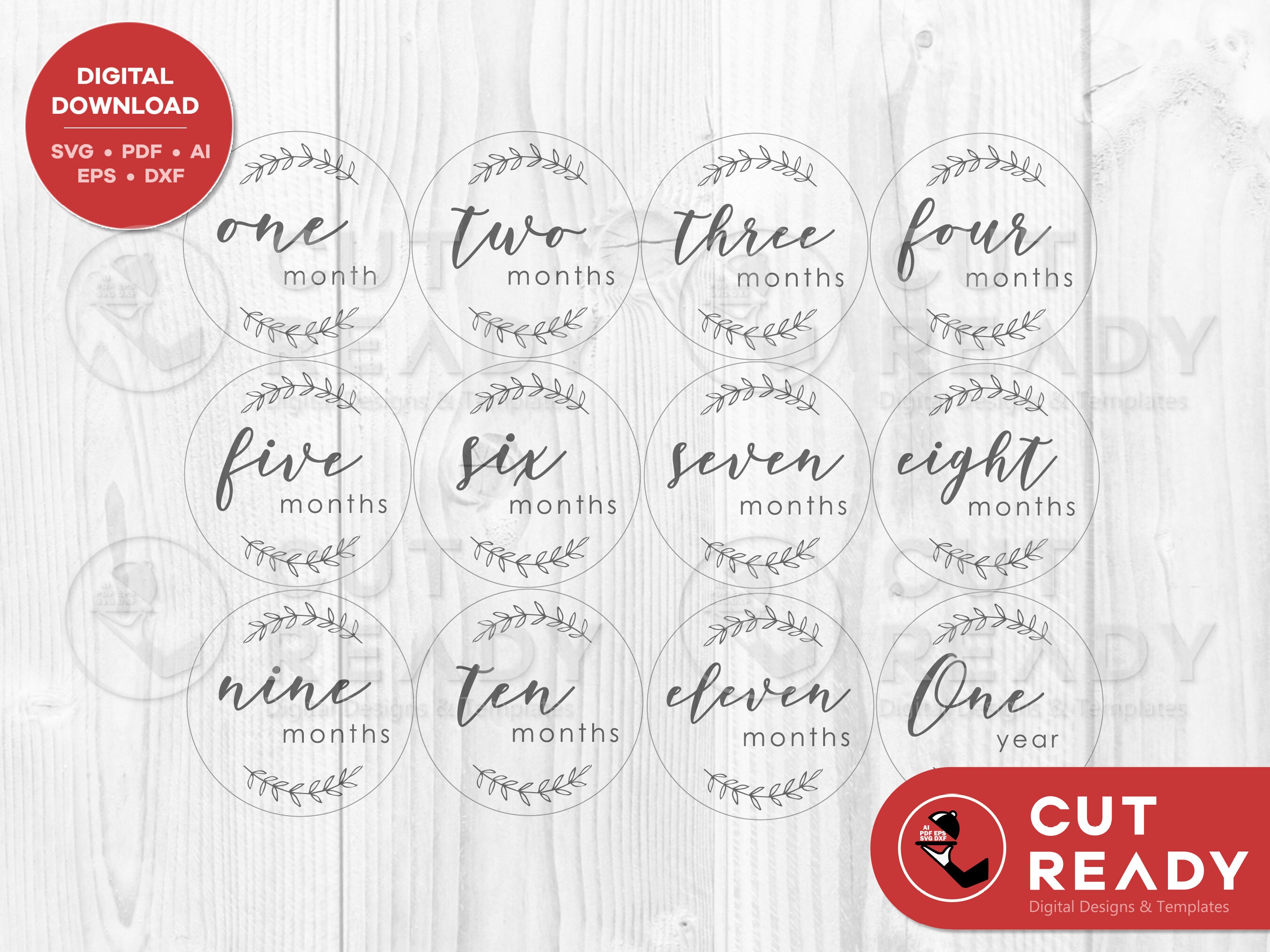 Baby Monthly Milestone Discs SVG Digital Download Laser Cut - Etsy