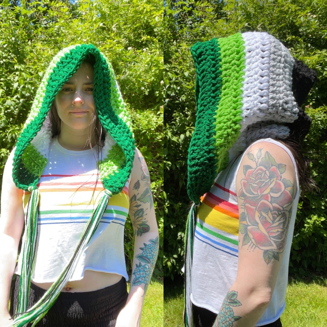 Aromantic Pride Flag Hood - Etsy