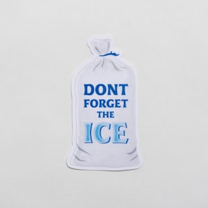 Don't Forget the Ice Sticker Waterproof Vinyl Decal - Etsy