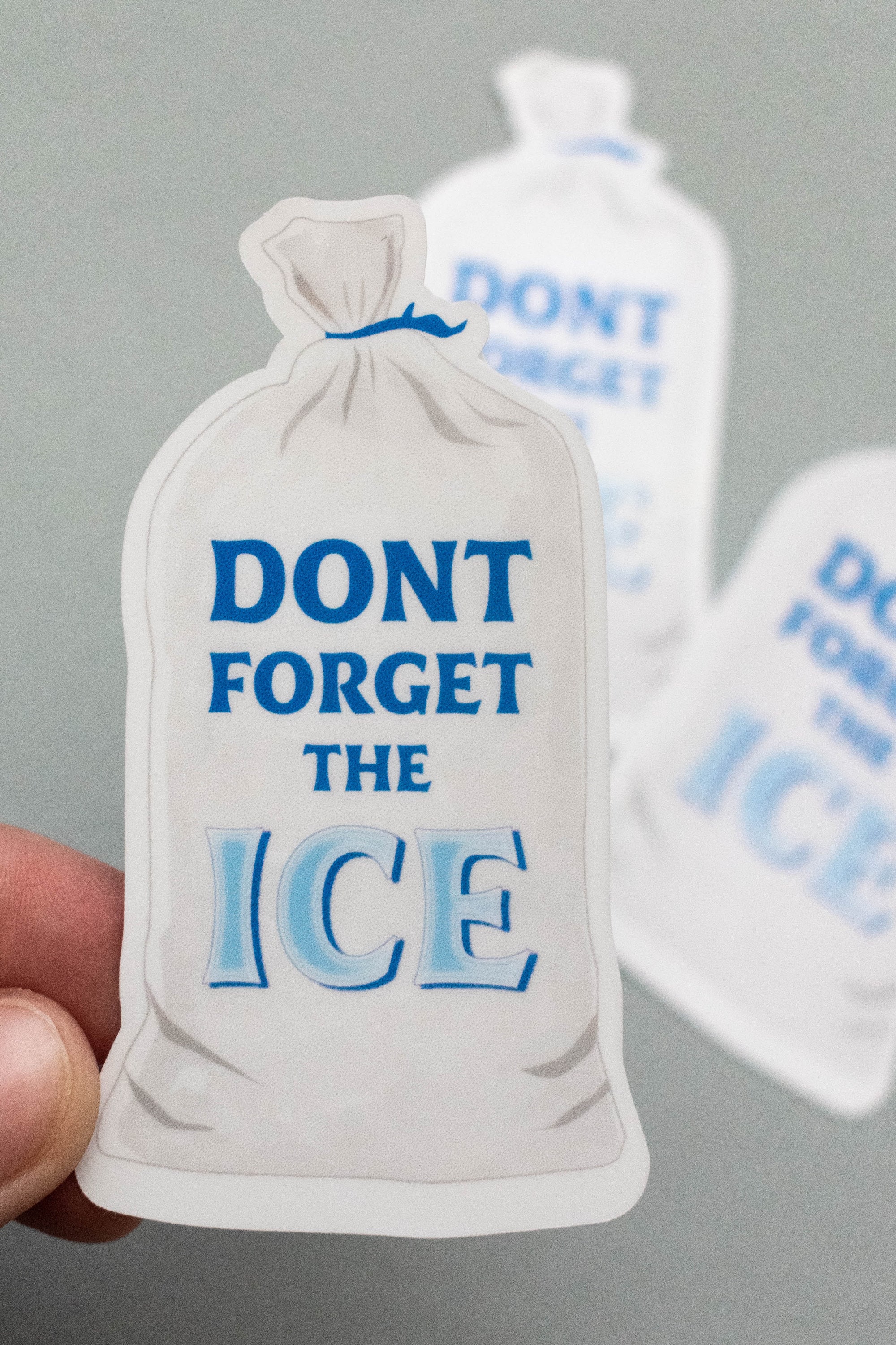 Don't Forget the Ice Sticker Waterproof Vinyl Decal - Etsy