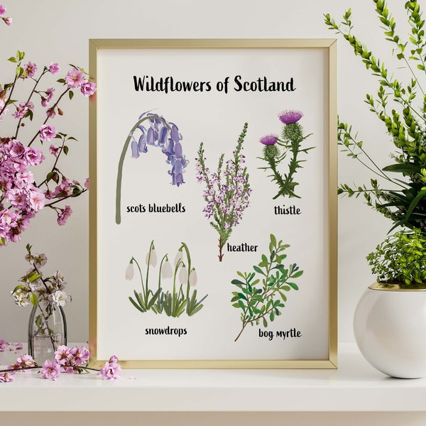 Wildflower Classroom Decor - Etsy