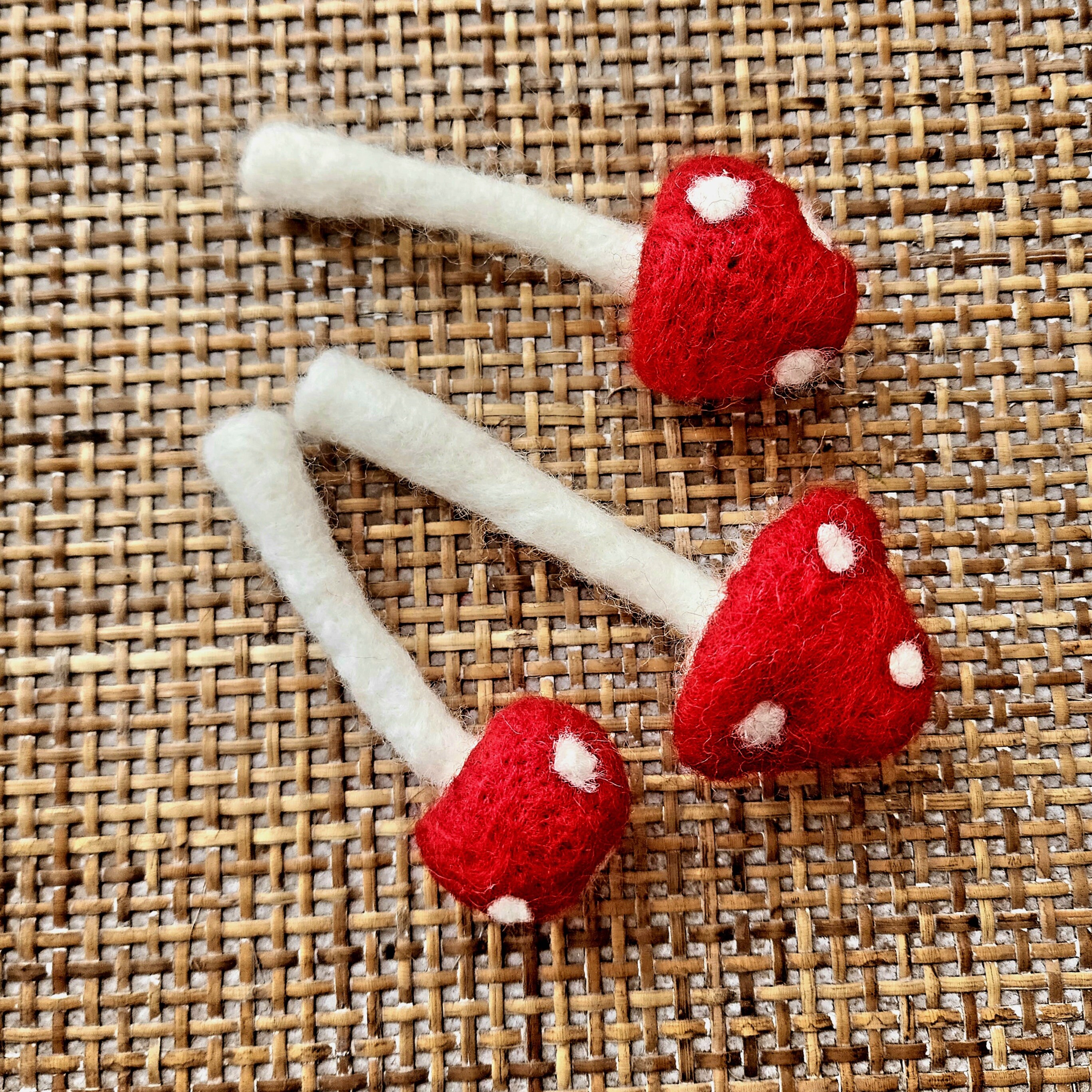Cottagecore Mushroom - Etsy