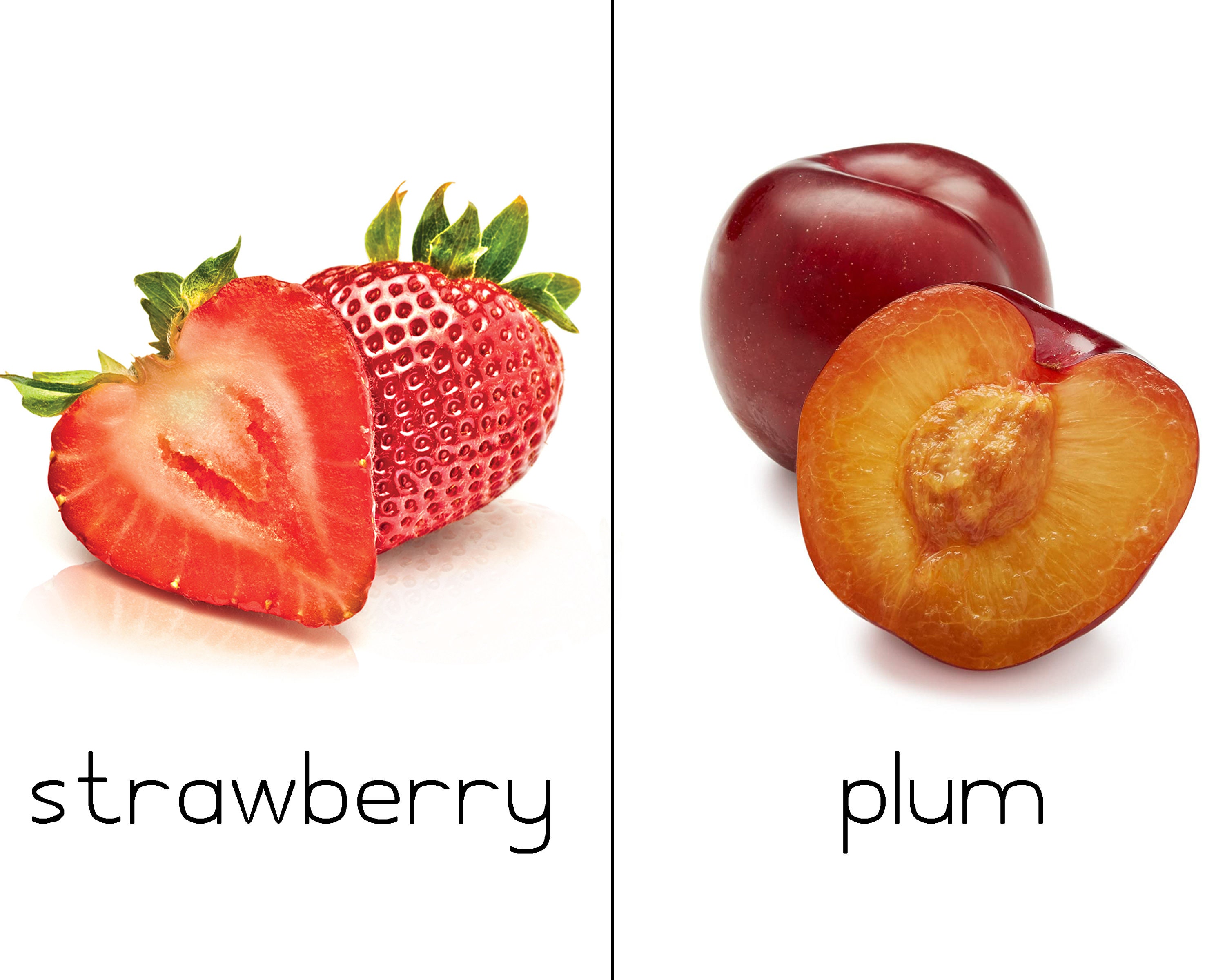 Montessori Aligned Big Format Fruit Cards, 3 Part Fruit Cards, Infant ...