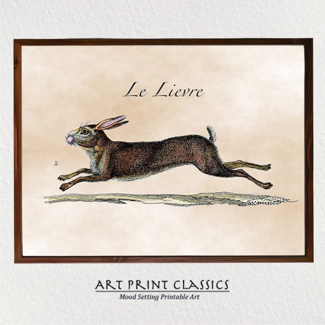 Folk Art Rabbit Watercolor Illustration | Vintage Hare Downloadable ...