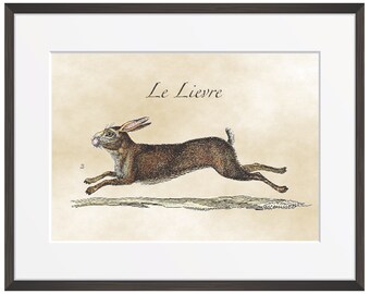 French Rabbit - Etsy