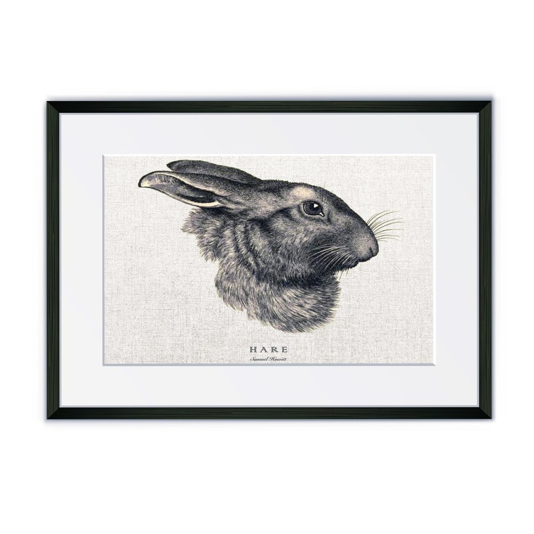 Animal Study Etching Printable Rabbit Illustration Digital Download ...