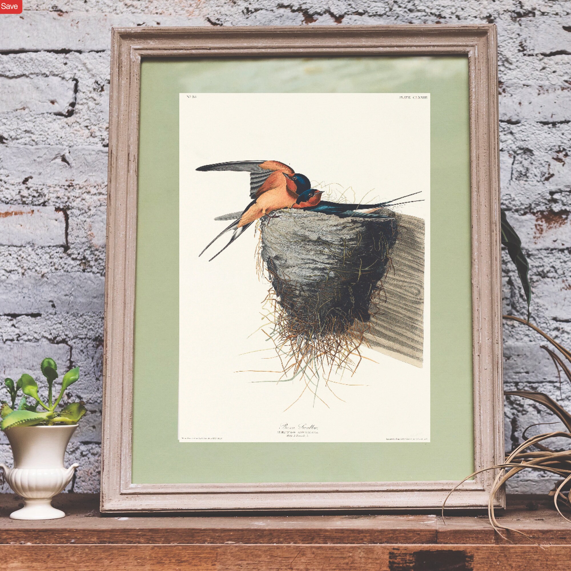Vintage Barn Swallow Bird Nest by John James Audubon for Birds of ...