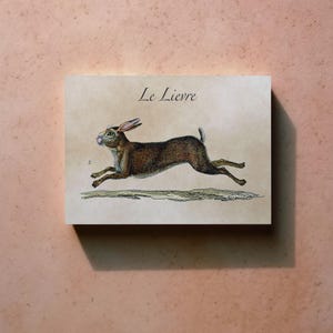 Folk Art Rabbit Watercolor Illustration Vintage Hare Downloadable Print ...