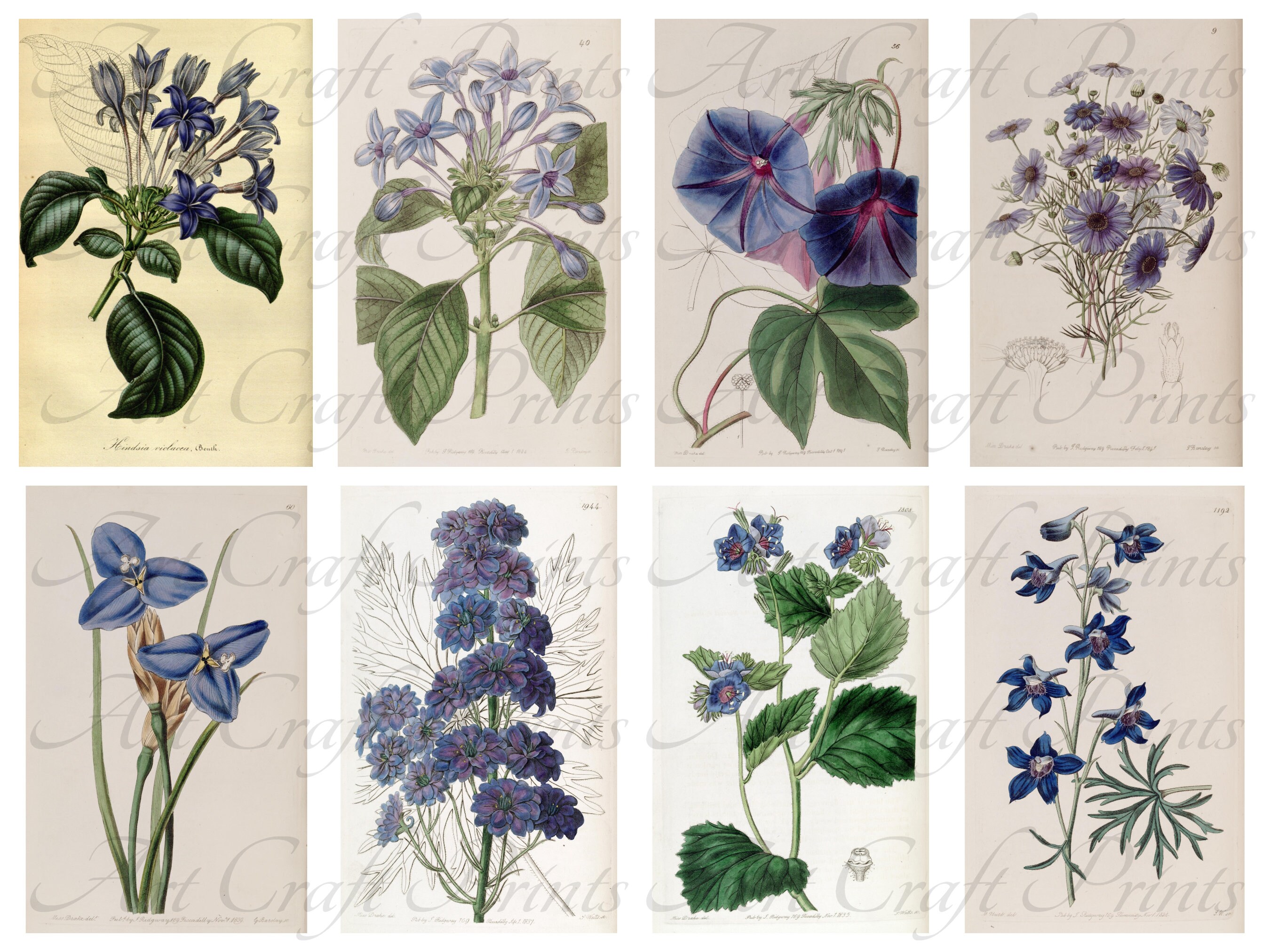 40 BLUE FLOWERS SET #2 - Digital Collage Sheets Flowers, Vintage Cards ...