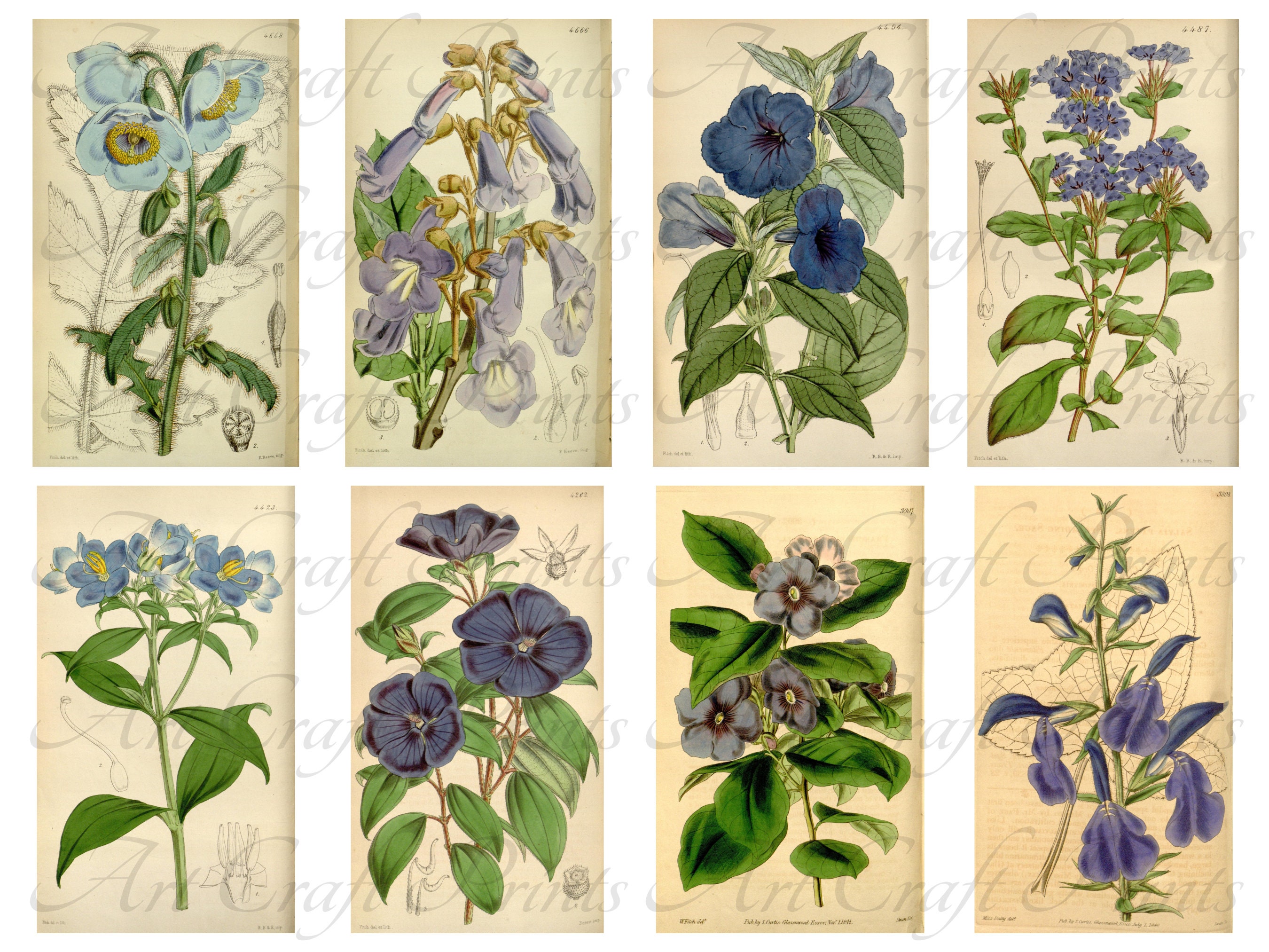 40 BLUE FLOWERS SET #2 - Digital Collage Sheets Flowers, Vintage Cards ...
