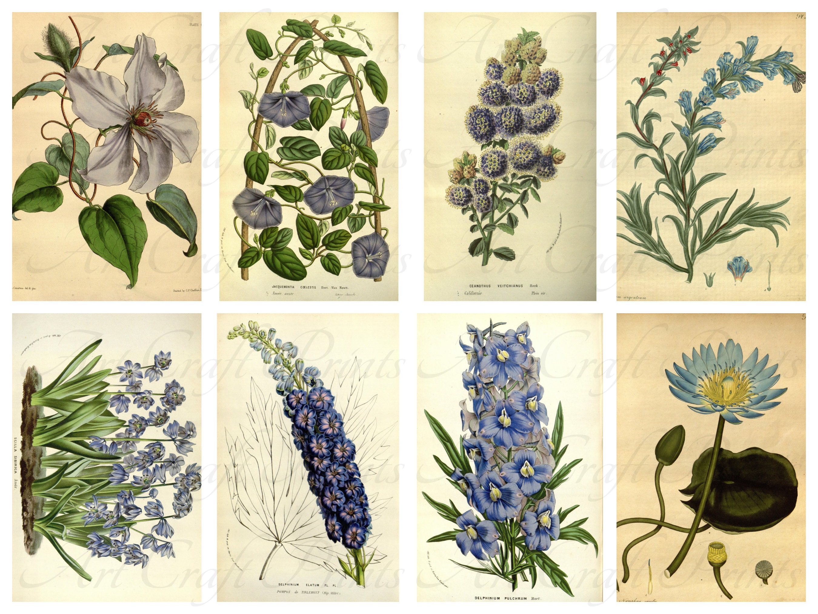 40 BLUE FLOWERS SET #3 - Digital Collage Sheets Flowers, Vintage Cards ...