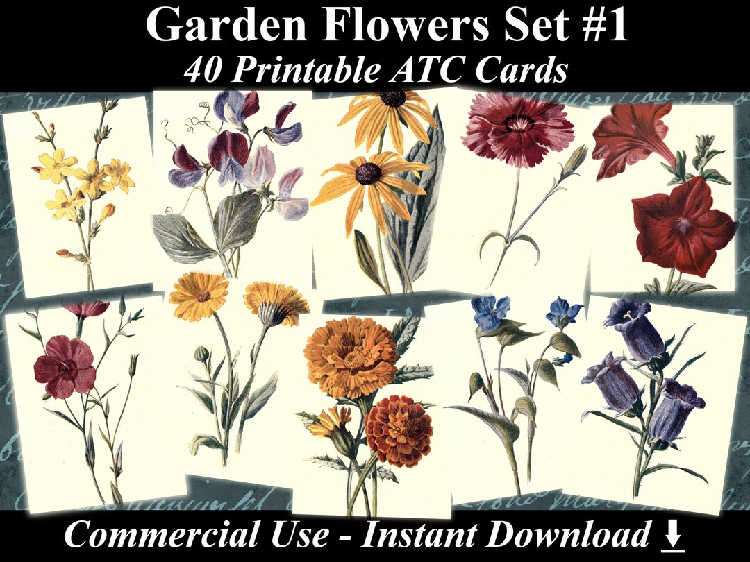 40 GARDEN FLOWERS SET #1 - Digital Collage Sheets Flowers, Vintage ...