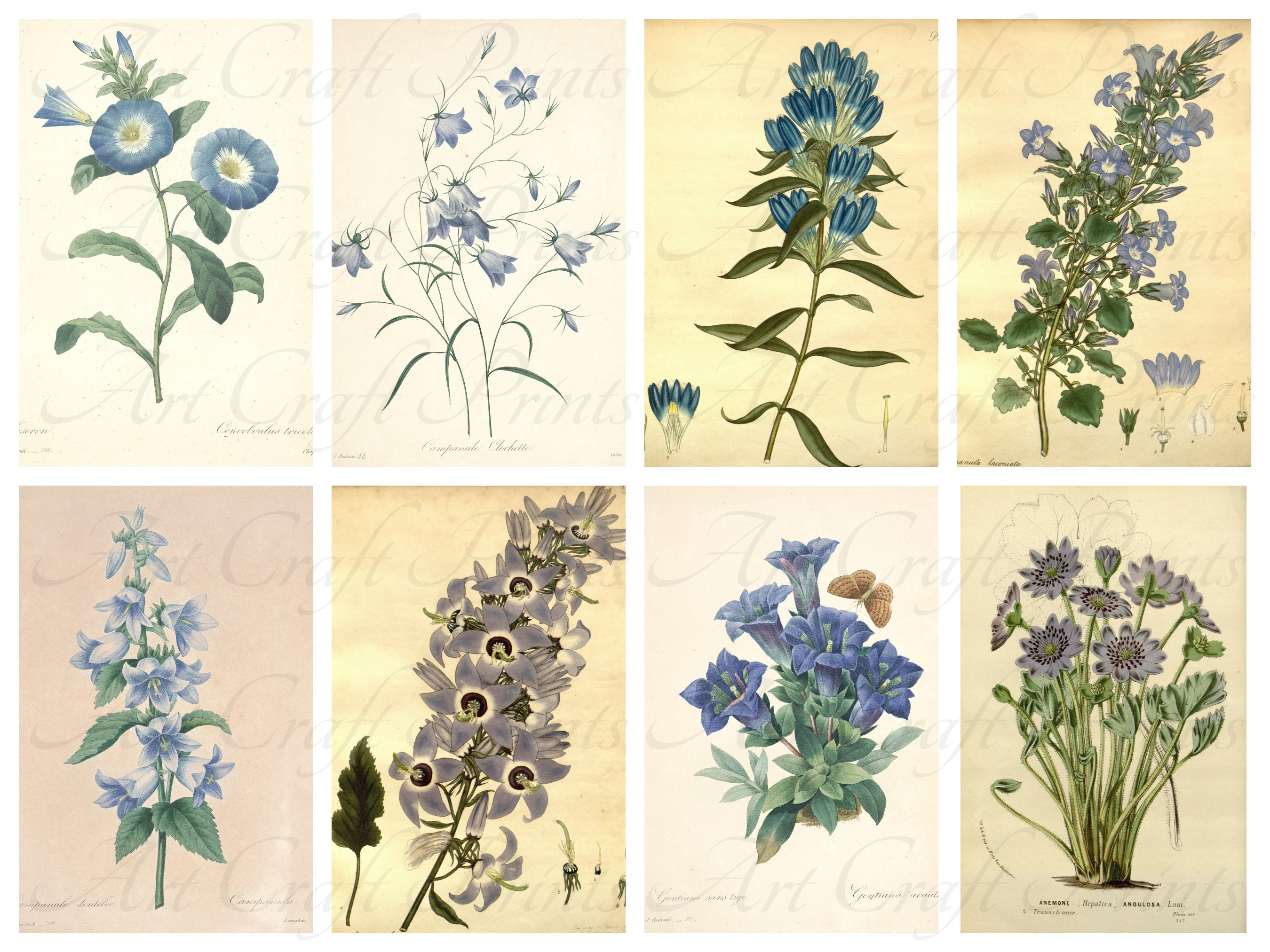 40 BLUE FLOWERS SET #3 - Digital Collage Sheets Flowers, Vintage Cards ...