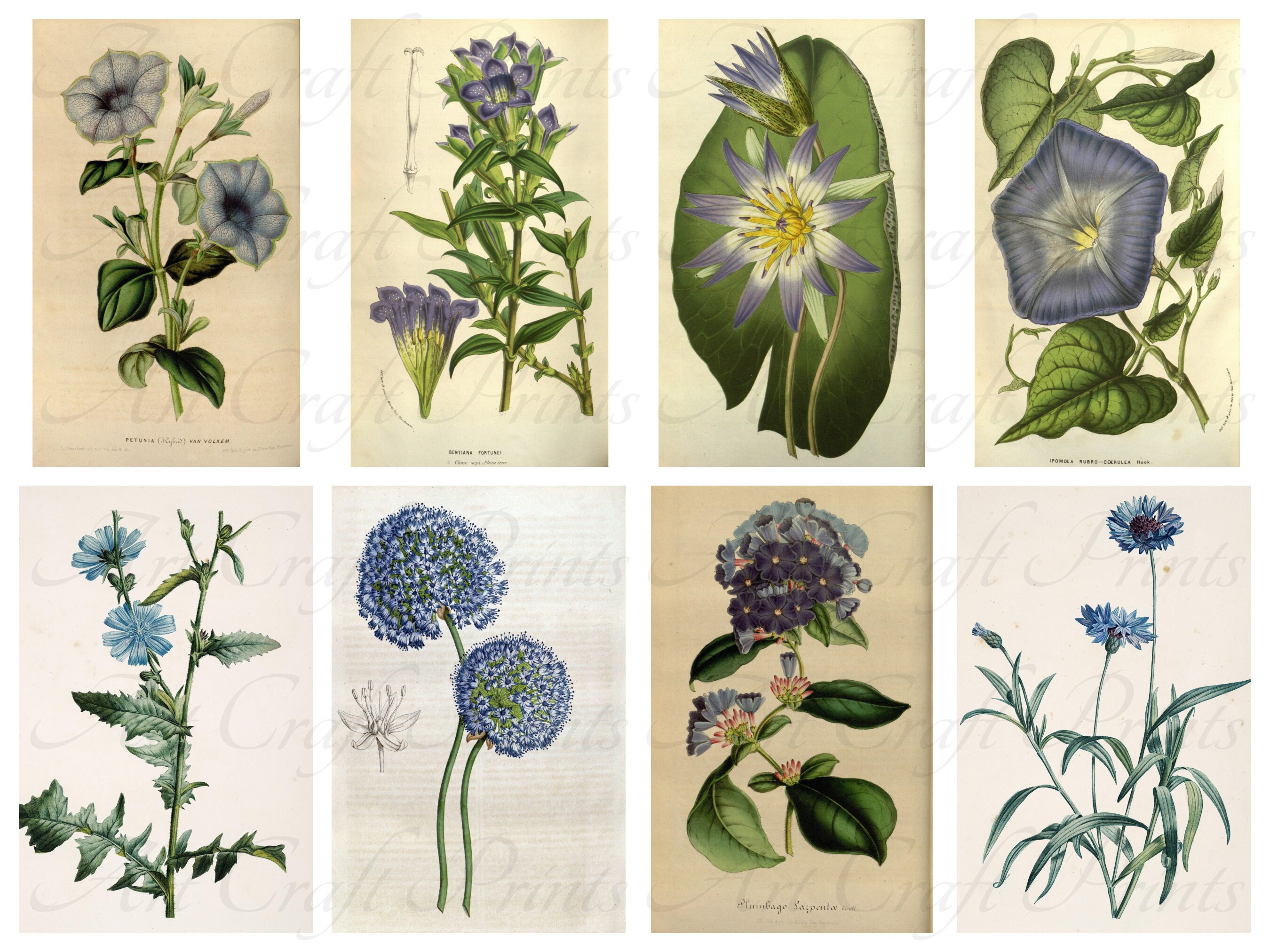 40 BLUE FLOWERS SET #3 - Digital Collage Sheets Flowers, Vintage Cards ...