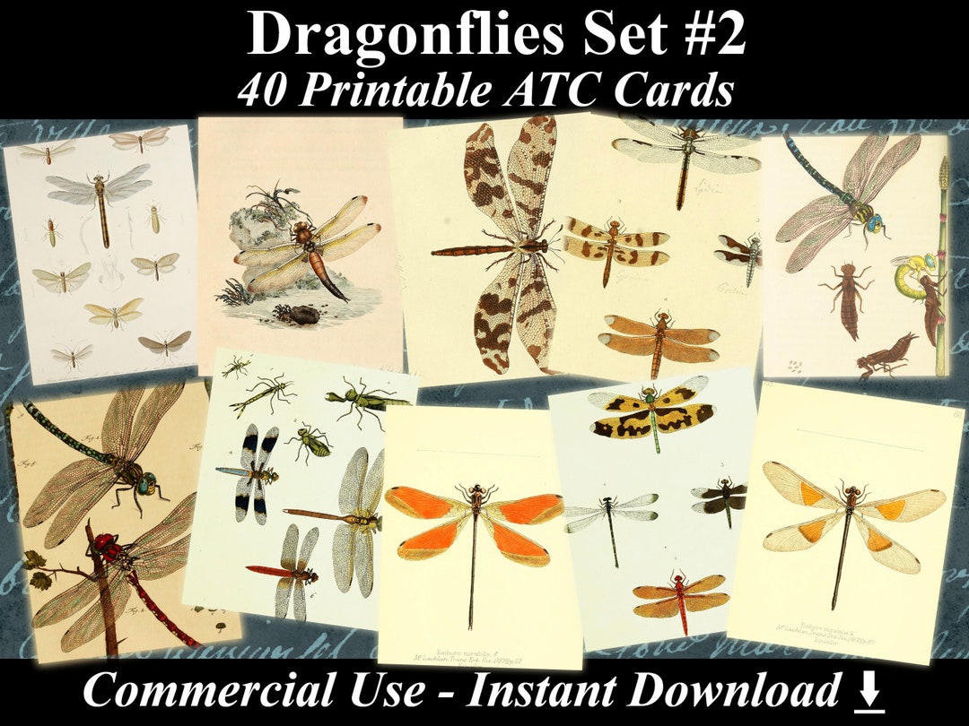 DRAGONFLIES Set #2 - Digital Collage Sheet 40 ATC Cards Printable ...
