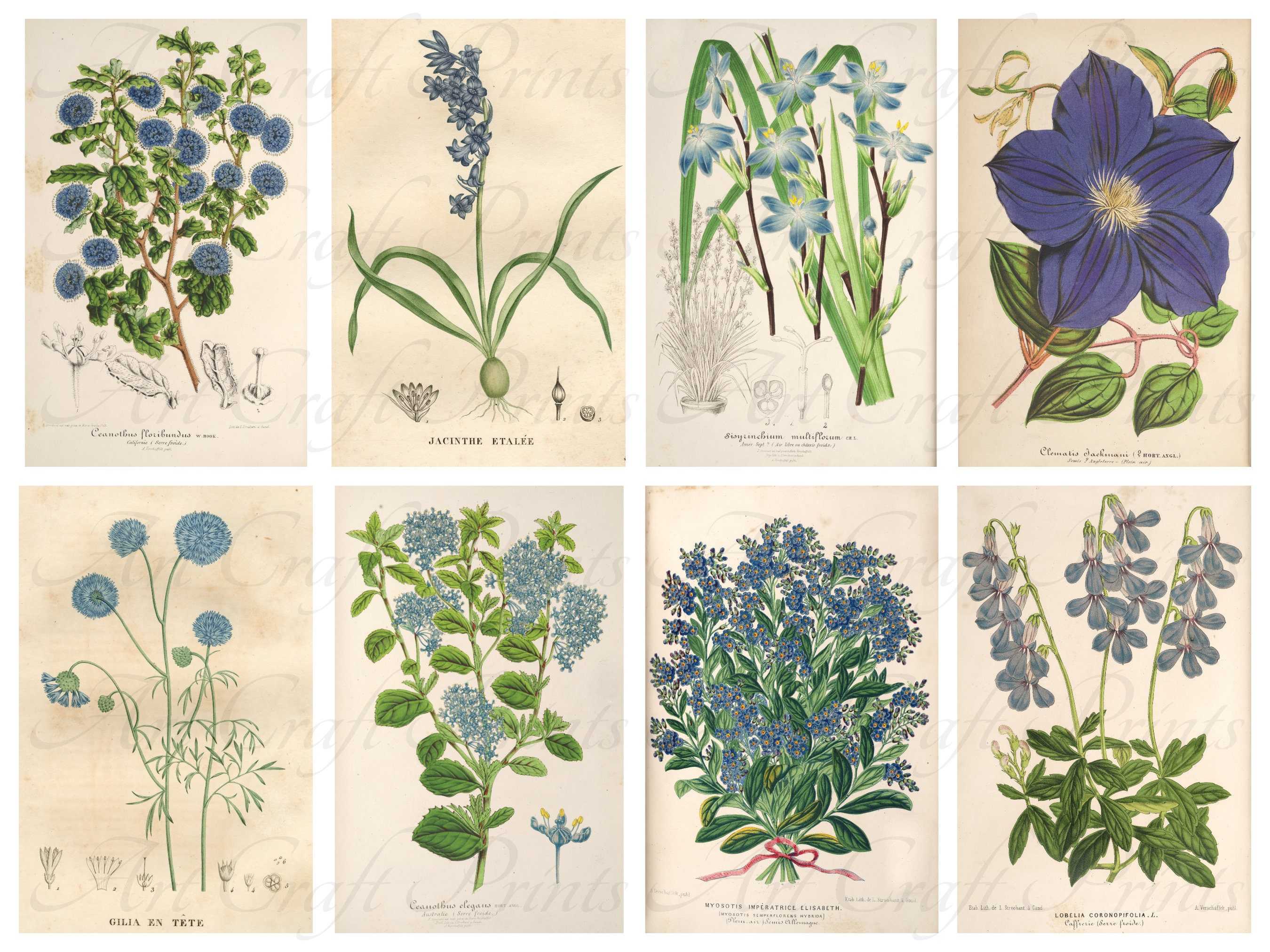 40 BLUE FLOWERS SET #3 - Digital Collage Sheets Flowers, Vintage Cards ...