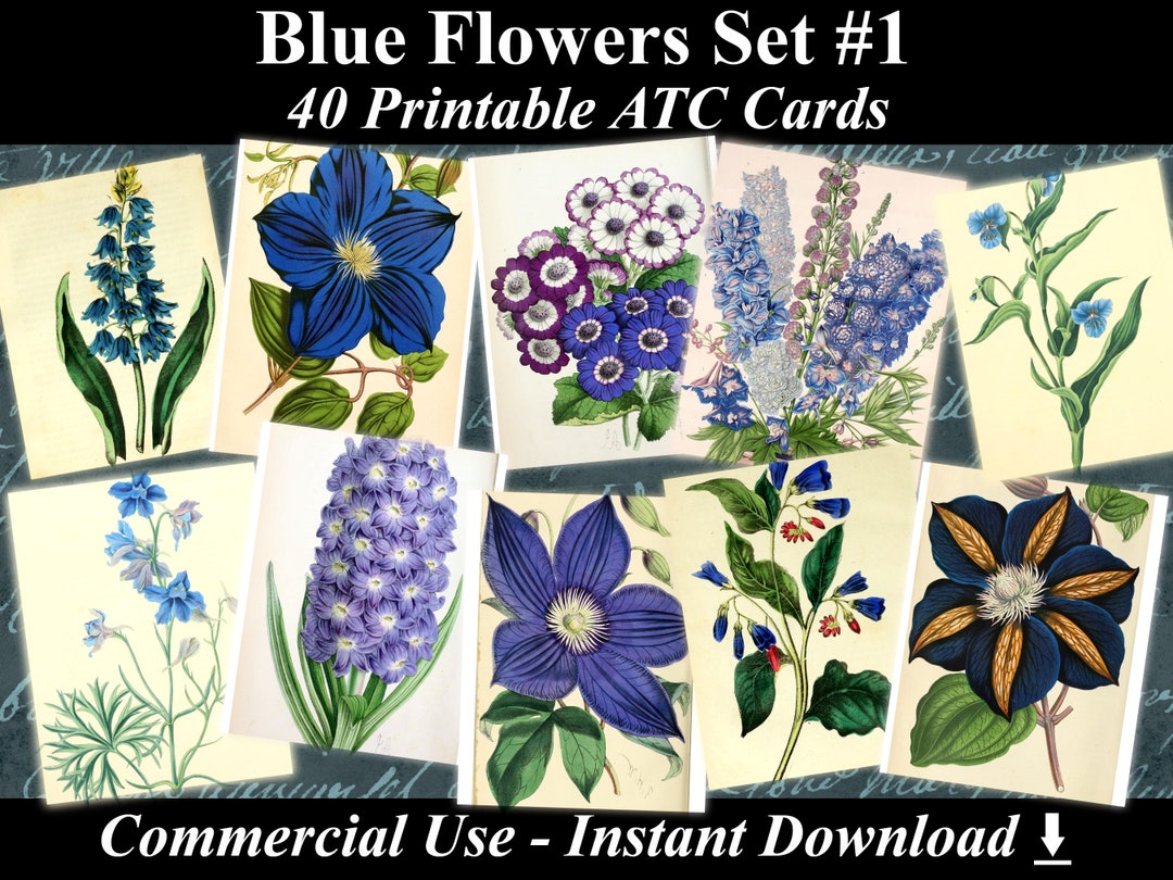 40 BLUE FLOWERS SET #1 - Digital Collage Sheets Flowers, Vintage Cards ...