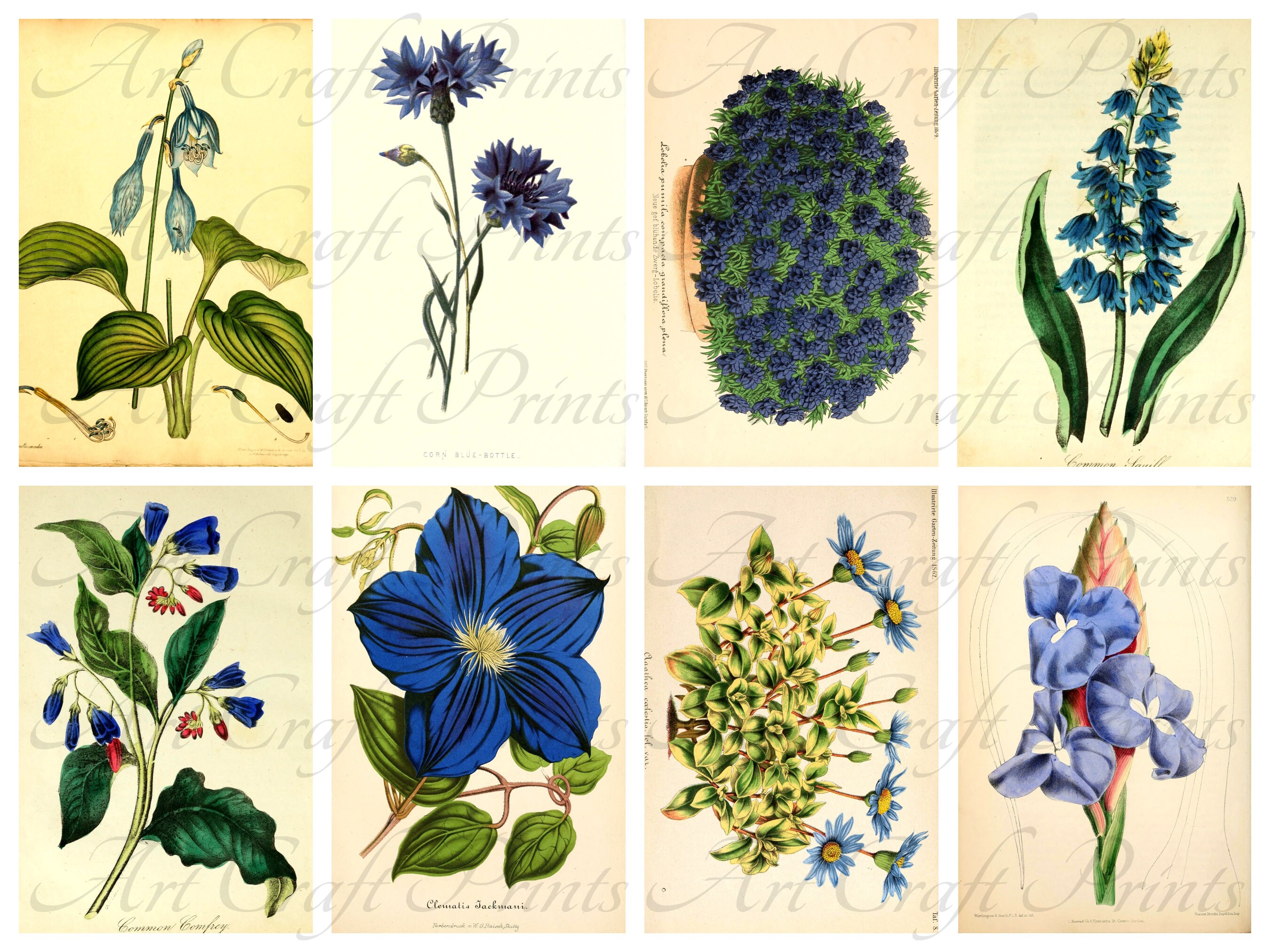 40 BLUE FLOWERS SET #1 - Digital Collage Sheets Flowers, Vintage Cards ...
