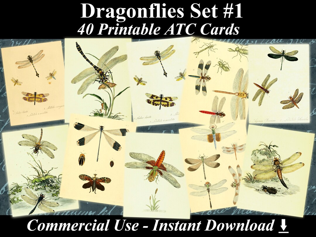DRAGONFLIES Set #1 - Digital Collage Sheet 40 ATC Cards Printable ...
