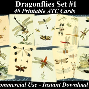 DRAGONFLIES Set #1 - Digital Collage Sheet 40 ATC Cards Printable ...