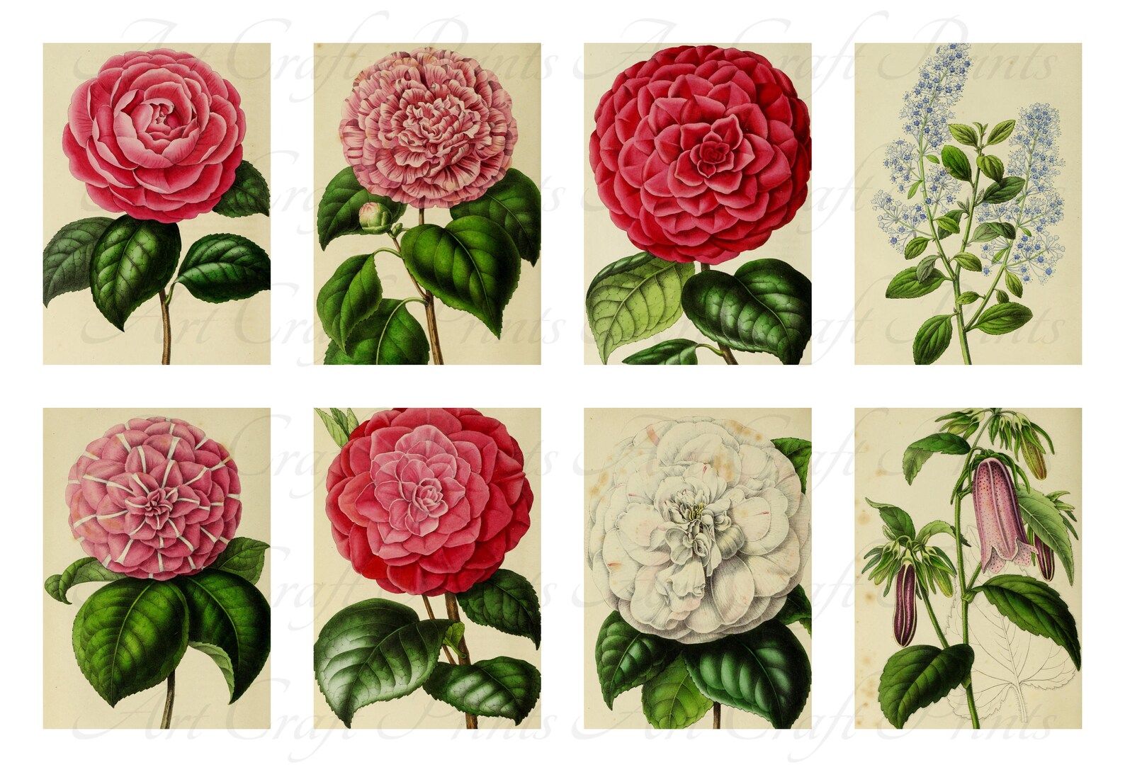 40 ADORABLE Blumen #1 - digitale Collage Blätter Blumen, Vintage-Karten ...