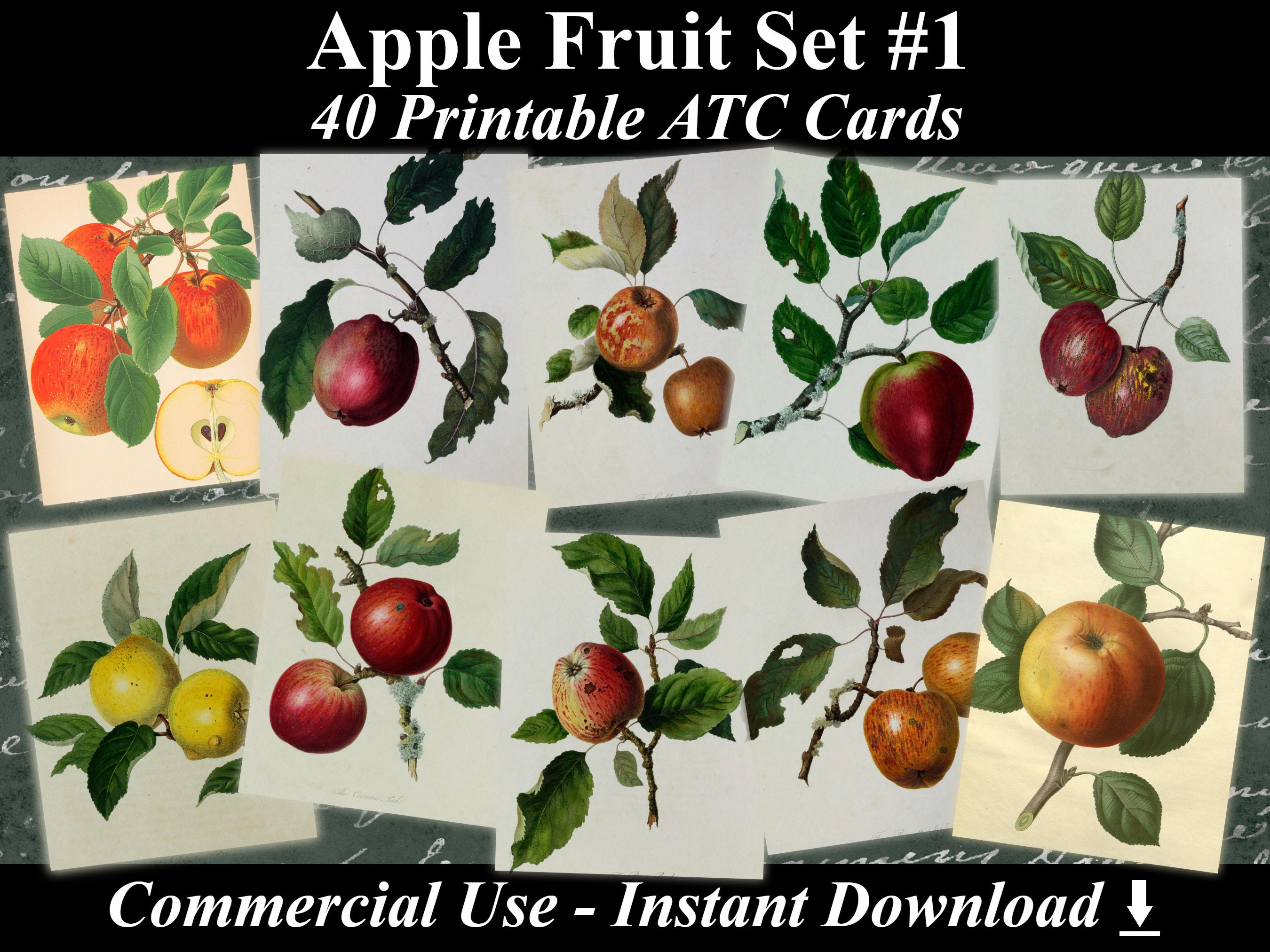40 APPLE FRUIT SET #1 - Digital Collage Sheets Apples, Vintage Cards ...