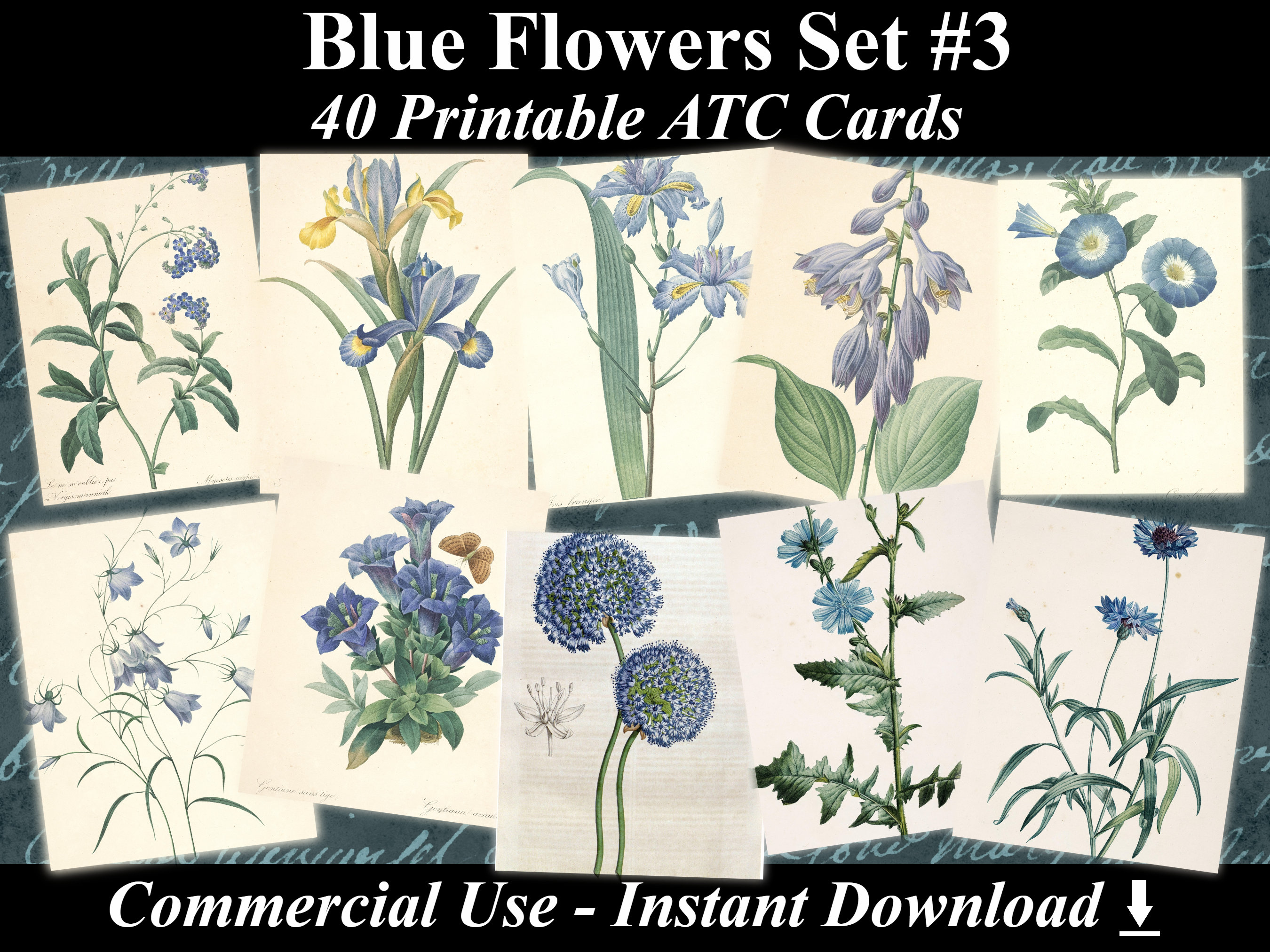 40 BLUE FLOWERS SET #3 - Digital Collage Sheets Flowers, Vintage Cards ...