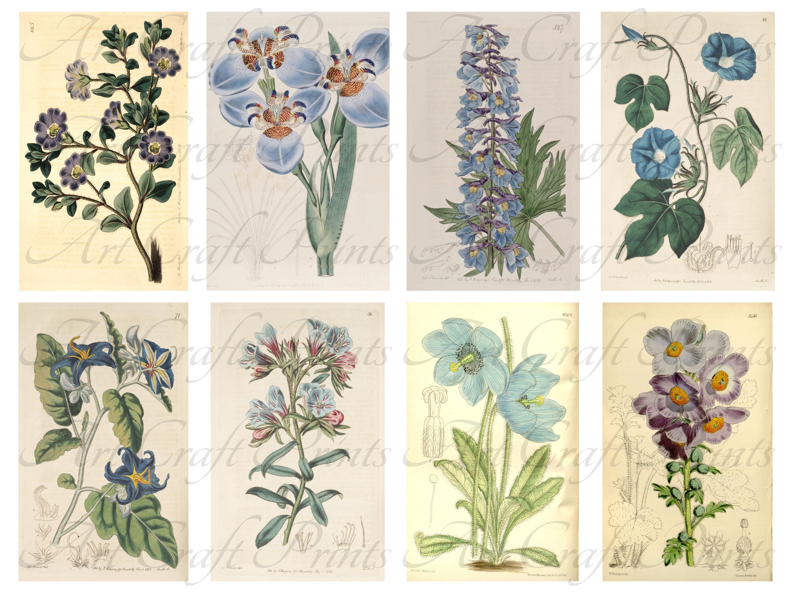 40 BLUE FLOWERS SET #2 - Digital Collage Sheets Flowers, Vintage Cards ...
