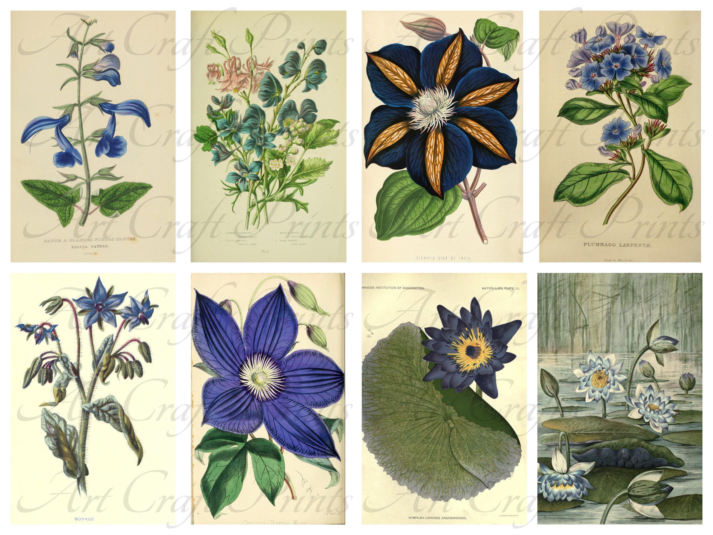 40 BLUE FLOWERS SET #1 - Digital Collage Sheets Flowers, Vintage Cards ...