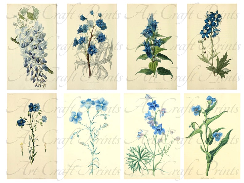 40 BLUE FLOWERS SET #1 - Digital Collage Sheets Flowers, Vintage Cards ...