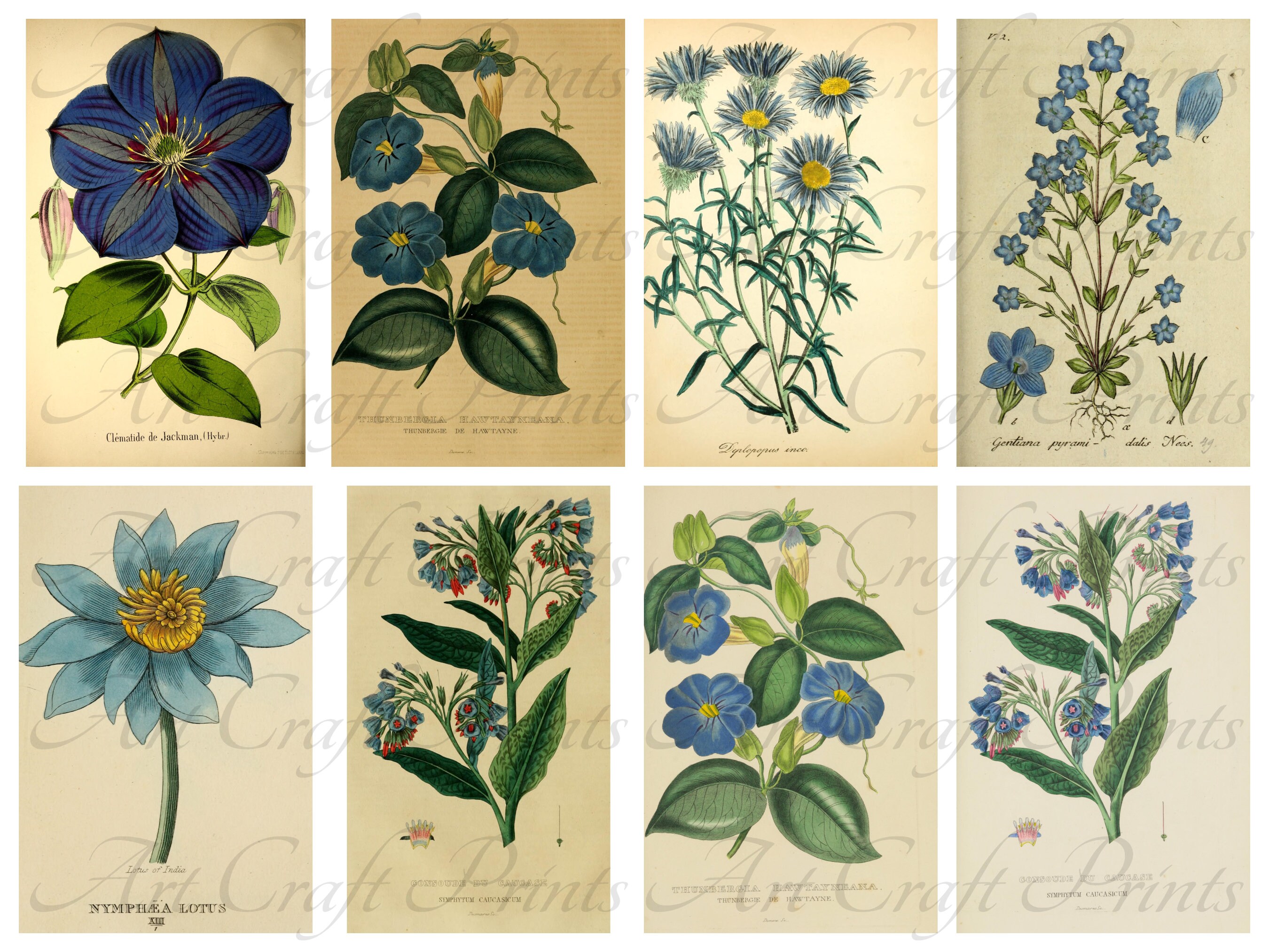 40 BLUE FLOWERS SET #1 - Digital Collage Sheets Flowers, Vintage Cards ...