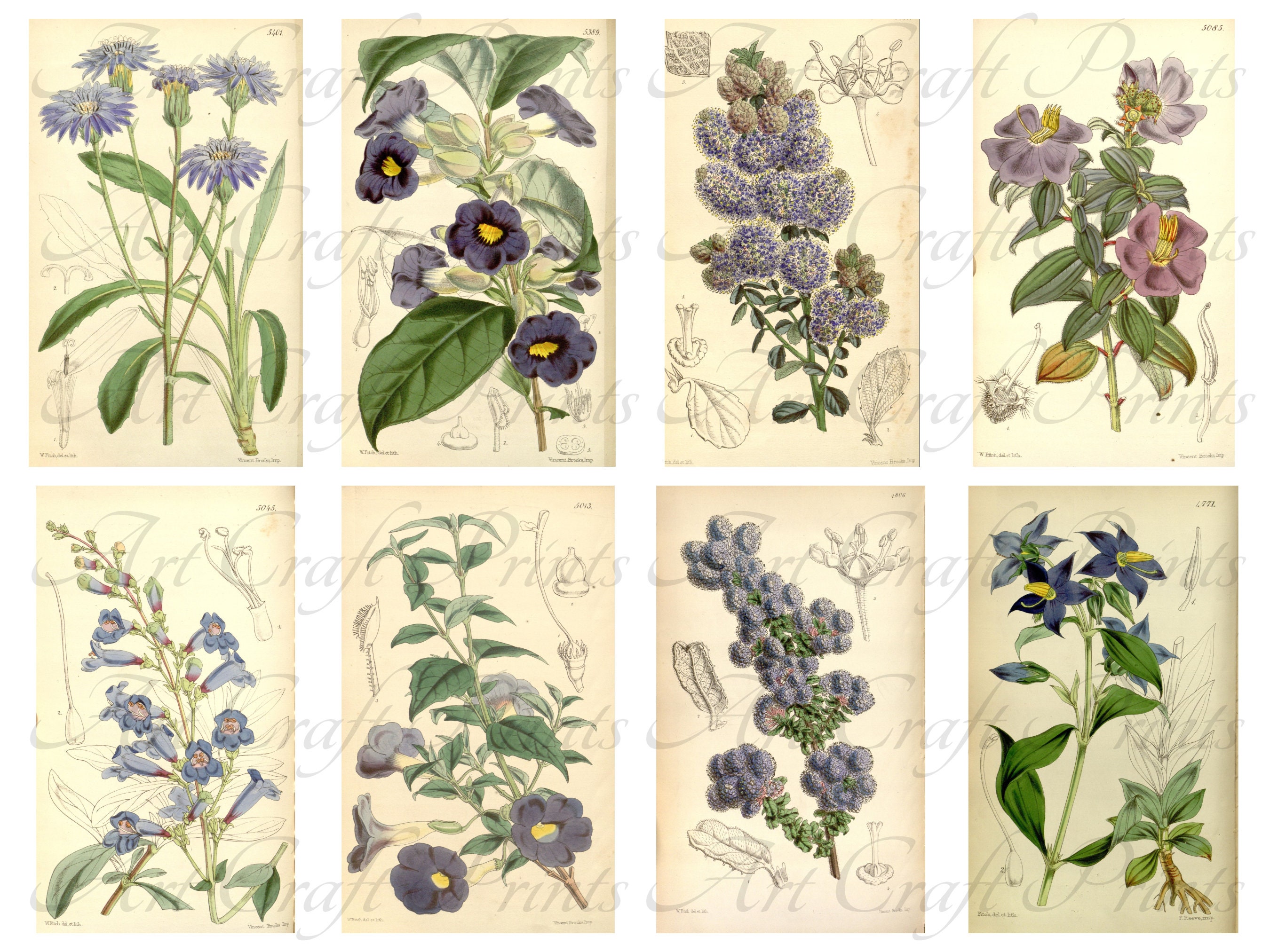 40 BLUE FLOWERS SET #2 - Digital Collage Sheets Flowers, Vintage Cards ...
