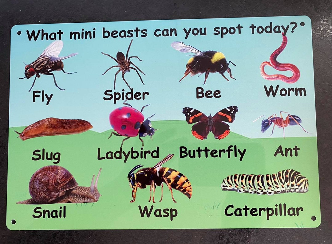 Outdoor Weatherproof Sign - Mini Beast Insects - Eyfs- School-nursery ...