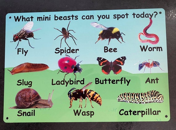 Outdoor Weatherproof Sign Mini Beast Insects Eyfs - Etsy