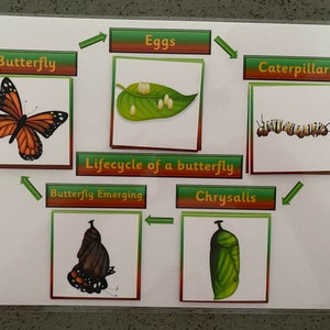 The Hungry Caterpillar Number/counting to 10 Frames One-ten EYFS ...