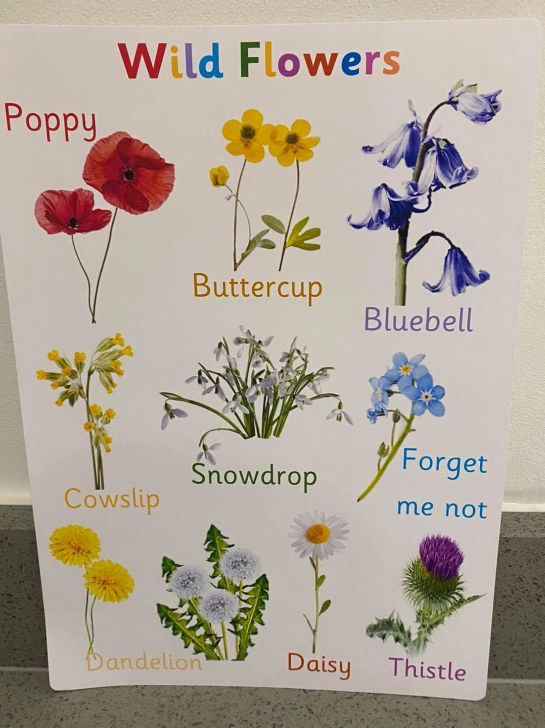 Outdoor Weatherproof Sign - Wild Flowers- Made From Metal- Childminder ...