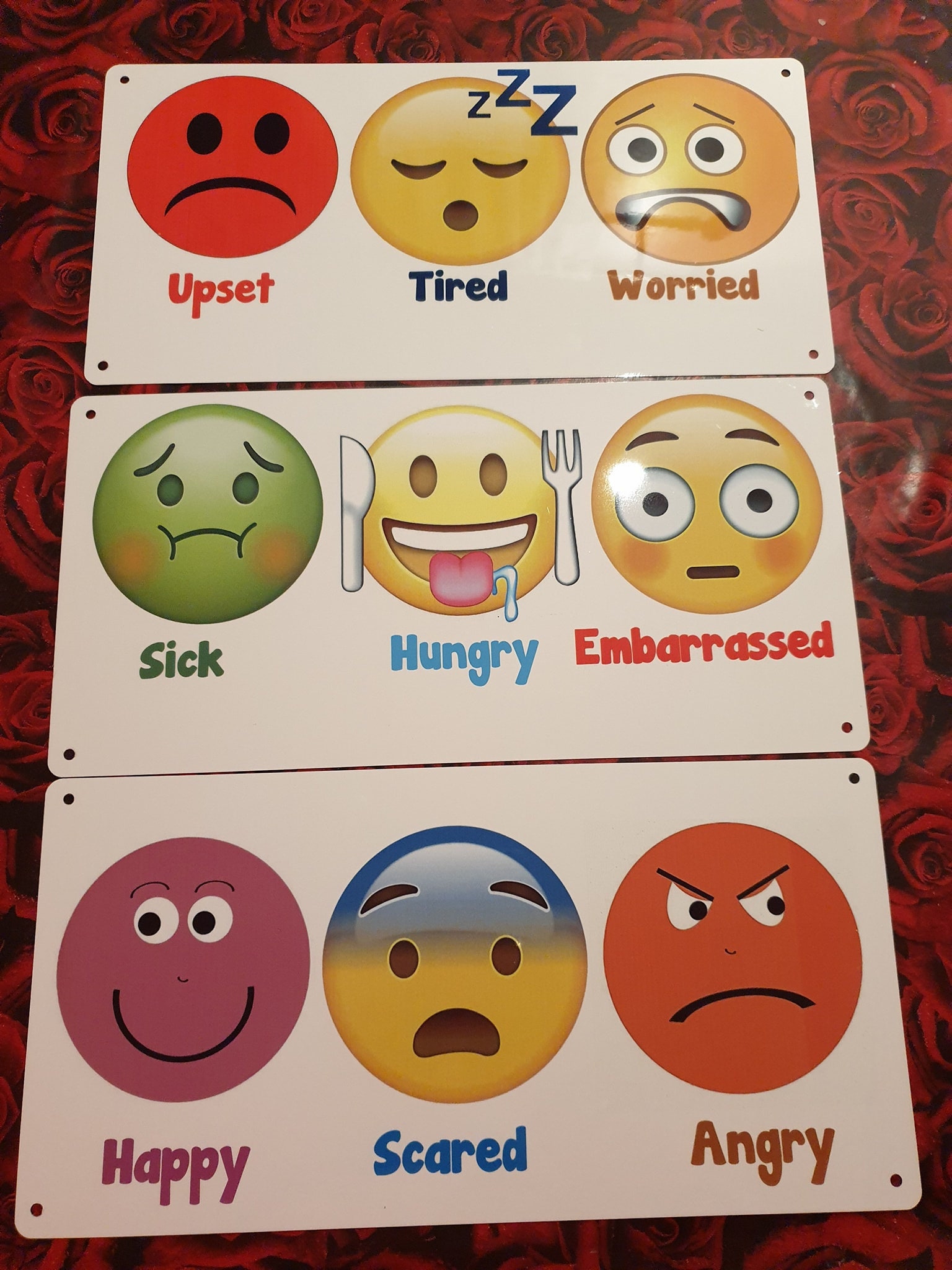 Outdoor Weatherproof Sign - Emotions and Feelings- Made From Metal ...