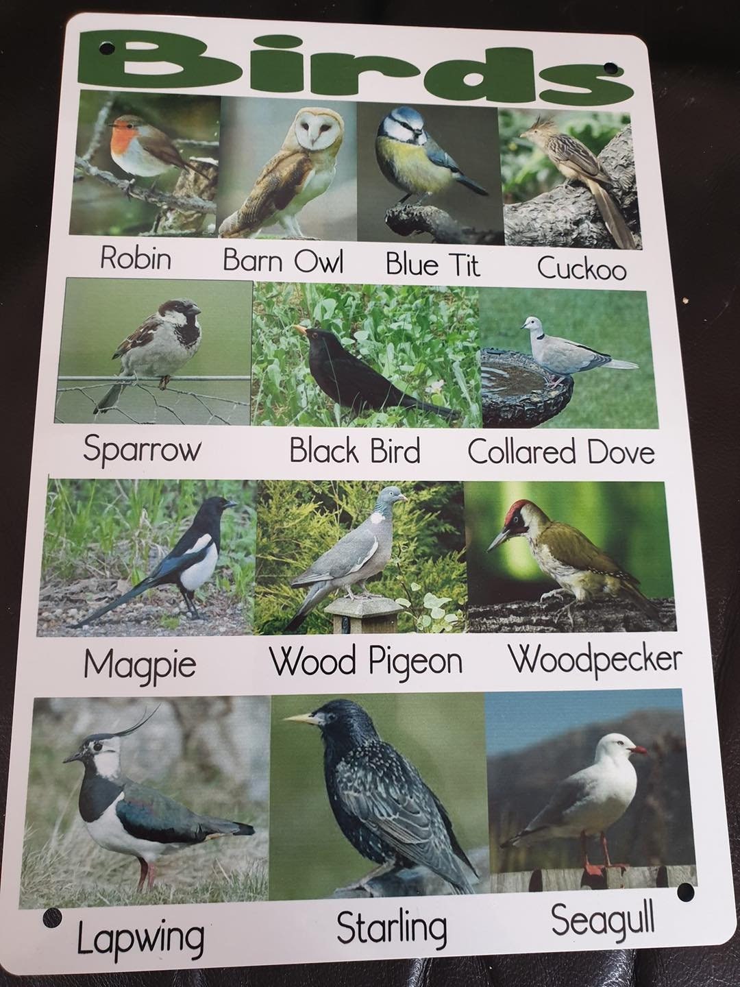 Outdoor Weatherproof Sign - Birds - Nursery / Childminder / School ...