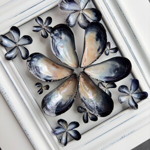 Stunning Mussel Flower Gift - Etsy